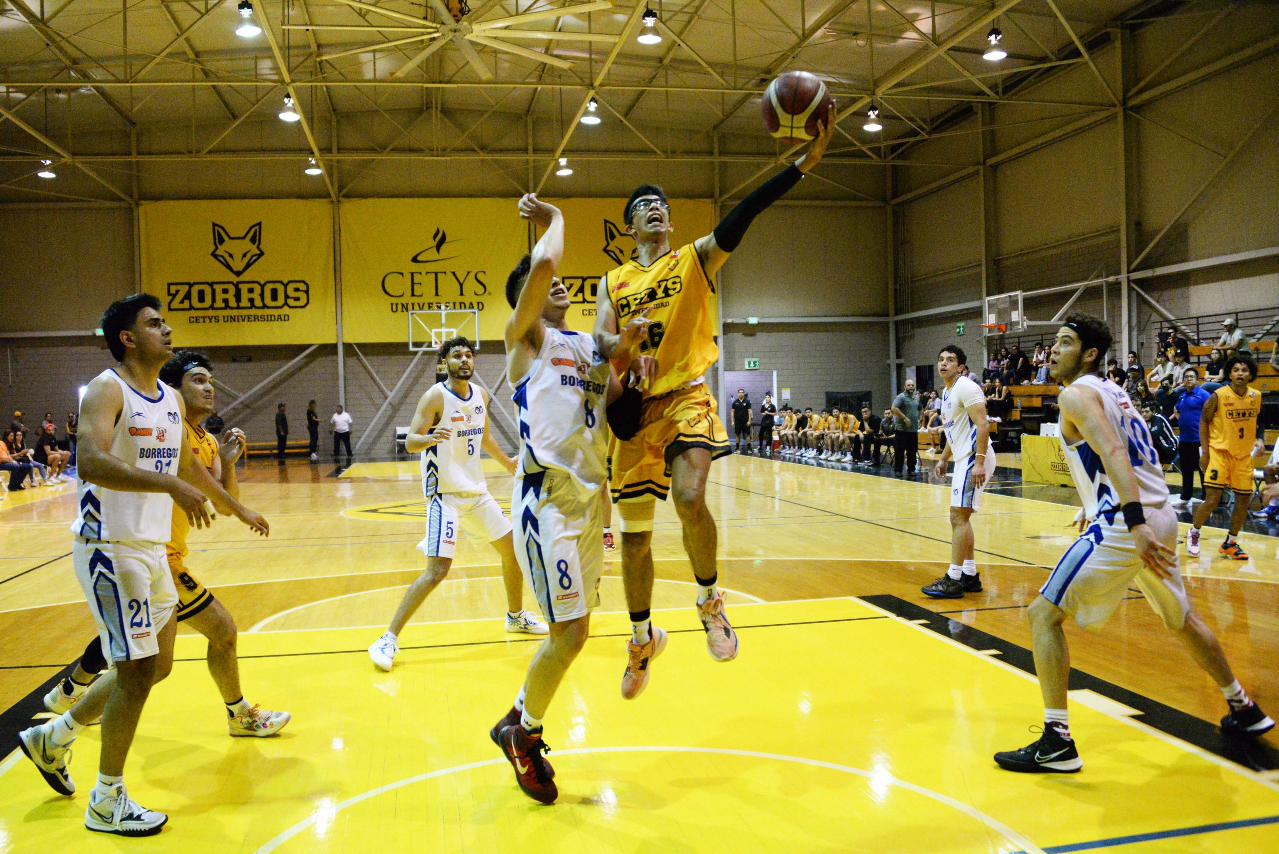 Tec Hidalgo sorprende al CETYS - Liga ABE México