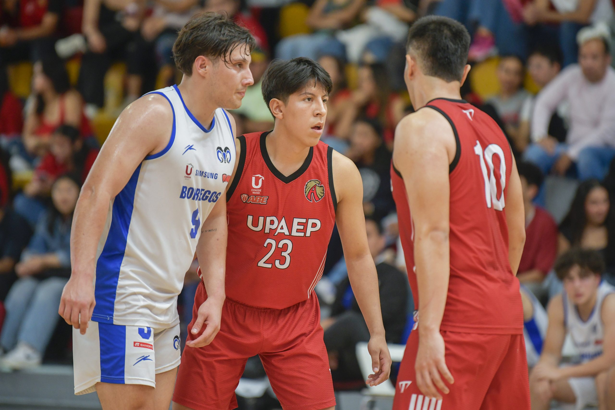 UPAEP a mantener el invicto en casa - Liga ABE México